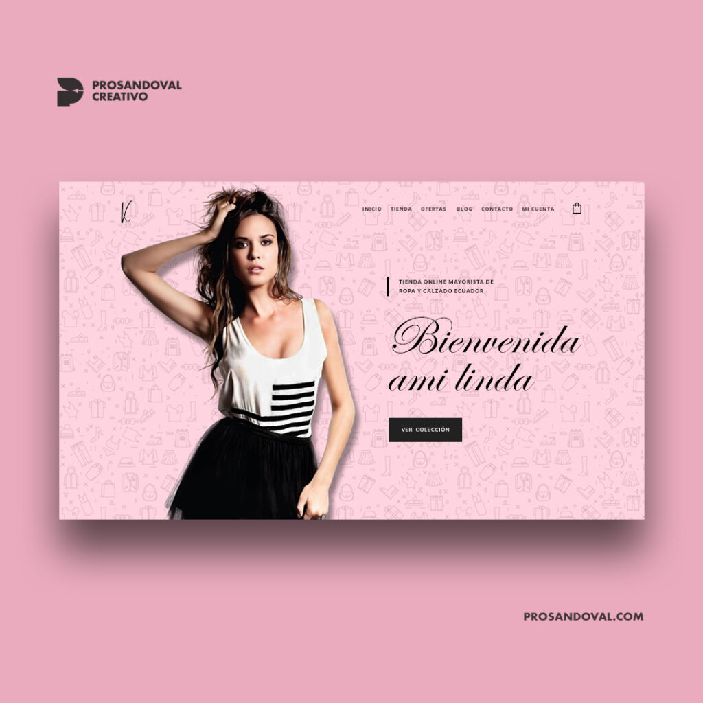 Diseño página web para venta de ropa mayorista | Prosandoval Creativo