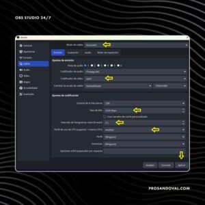 OBS STUDIO 24/7 | Guía para transmitir de forma automática