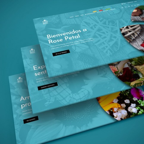 Diseño tienda online de ropa de moda Wocca - Prosandoval Creativo